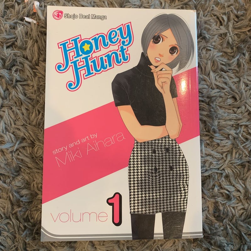 Honey Hunt, Vol. 1 by Miki Aihara, Paperback | Pangobooks