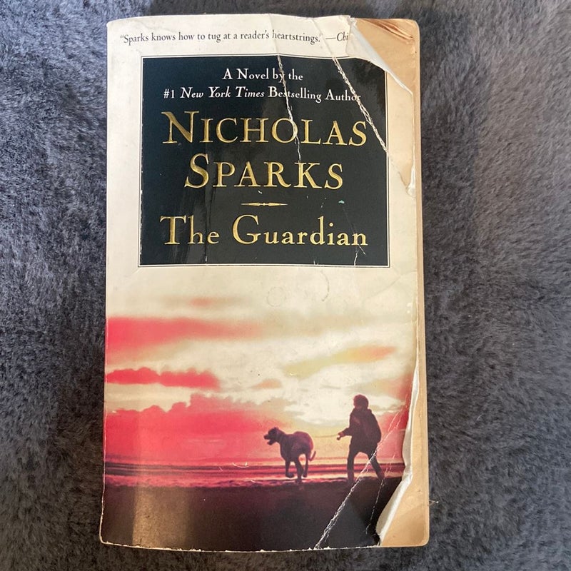 The Guardian by Nicholas Sparks, Paperback | Pangobooks