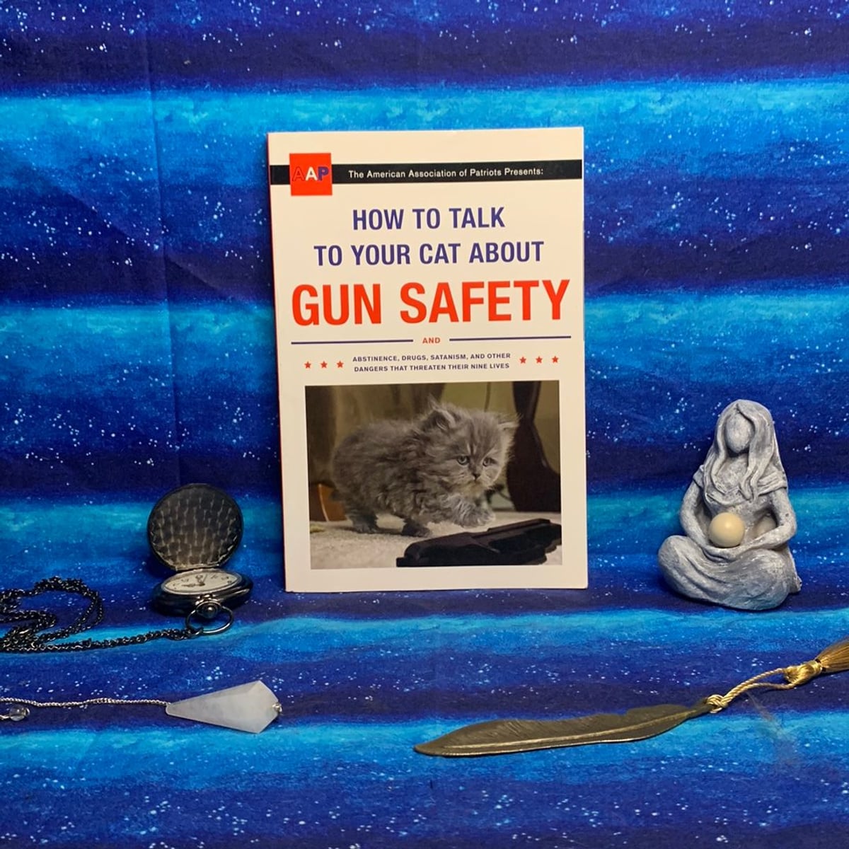 How to Talk to Your Cat about Gun Safety by Zachary Auburn, Paperback ...