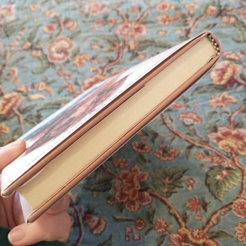 Molly's Story by W. Bruce Cameron