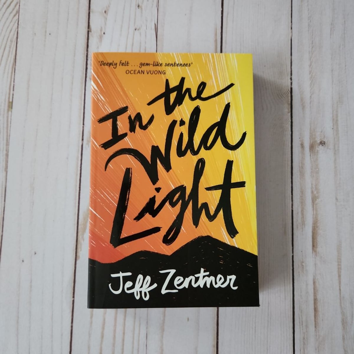 In the Wild Light by Jeff Zentner