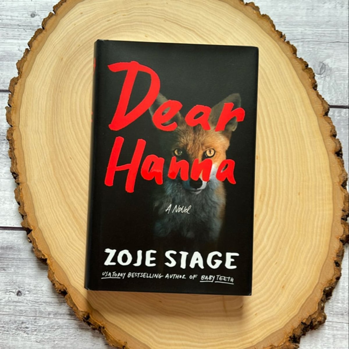 Dear Hanna by Zoje Stage