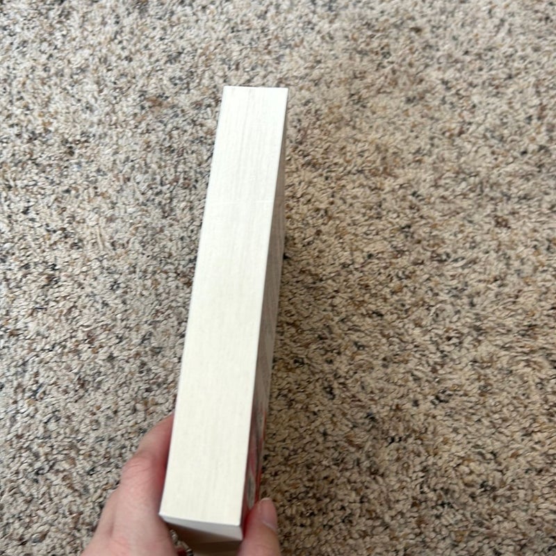 Obsidian Mirror: 04: the Speed of Darkness by Catherine Fisher