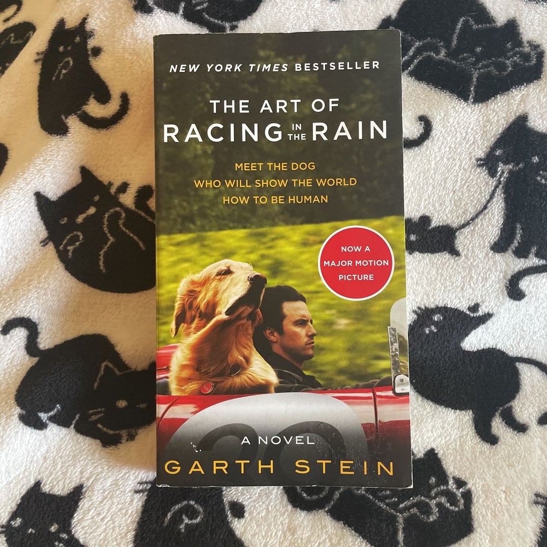 The Art of Racing in the Rain by Garth Stein