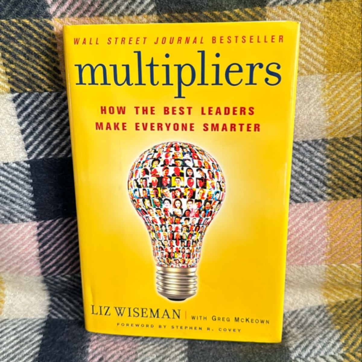 Multipliers by Liz Wiseman, Greg Mckeown