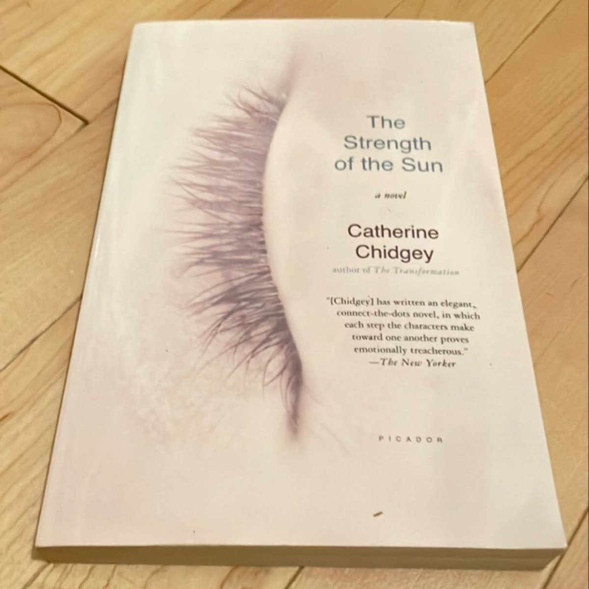 The Strength of the Sun by Catherine Chidgey