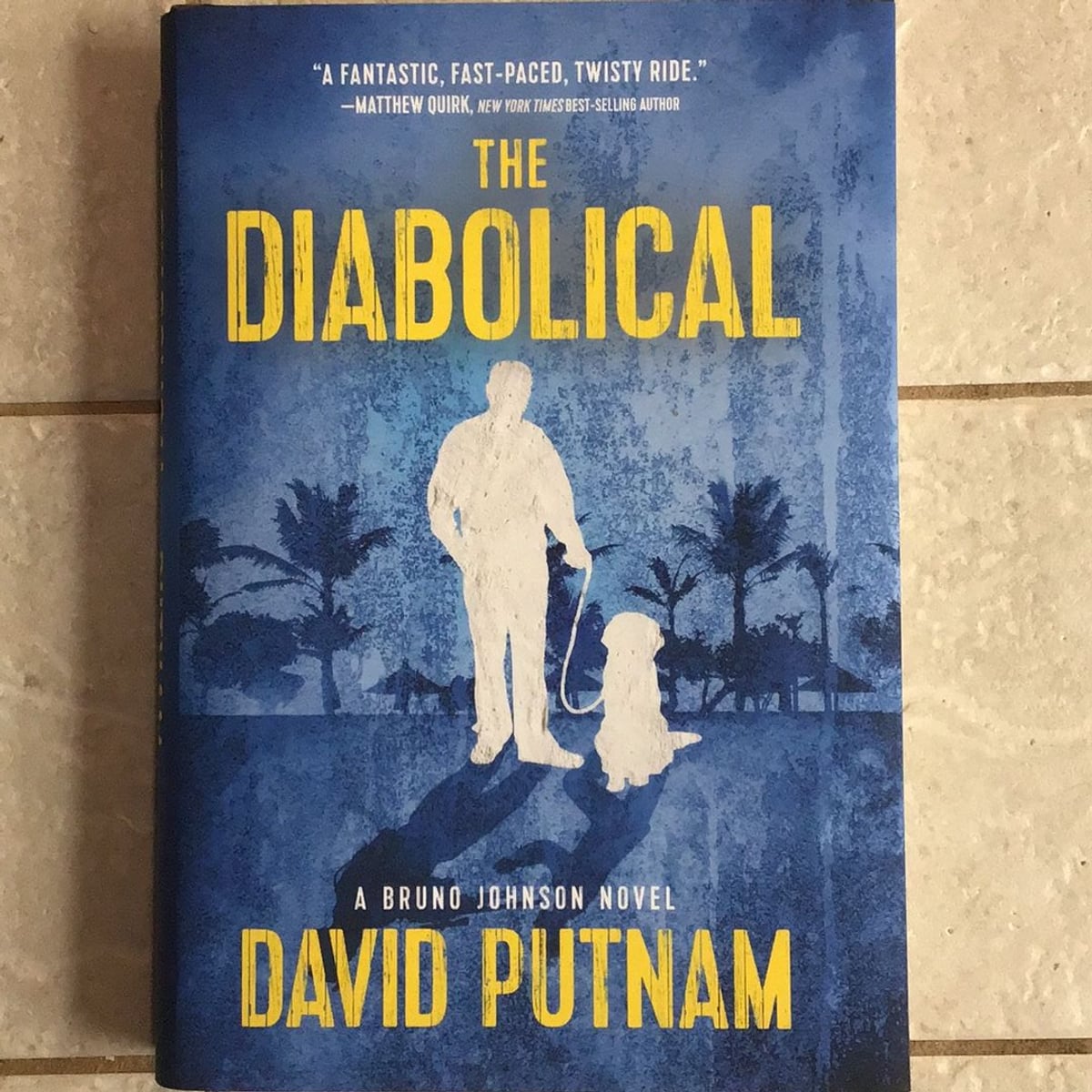 The Diabolical by David Putnam