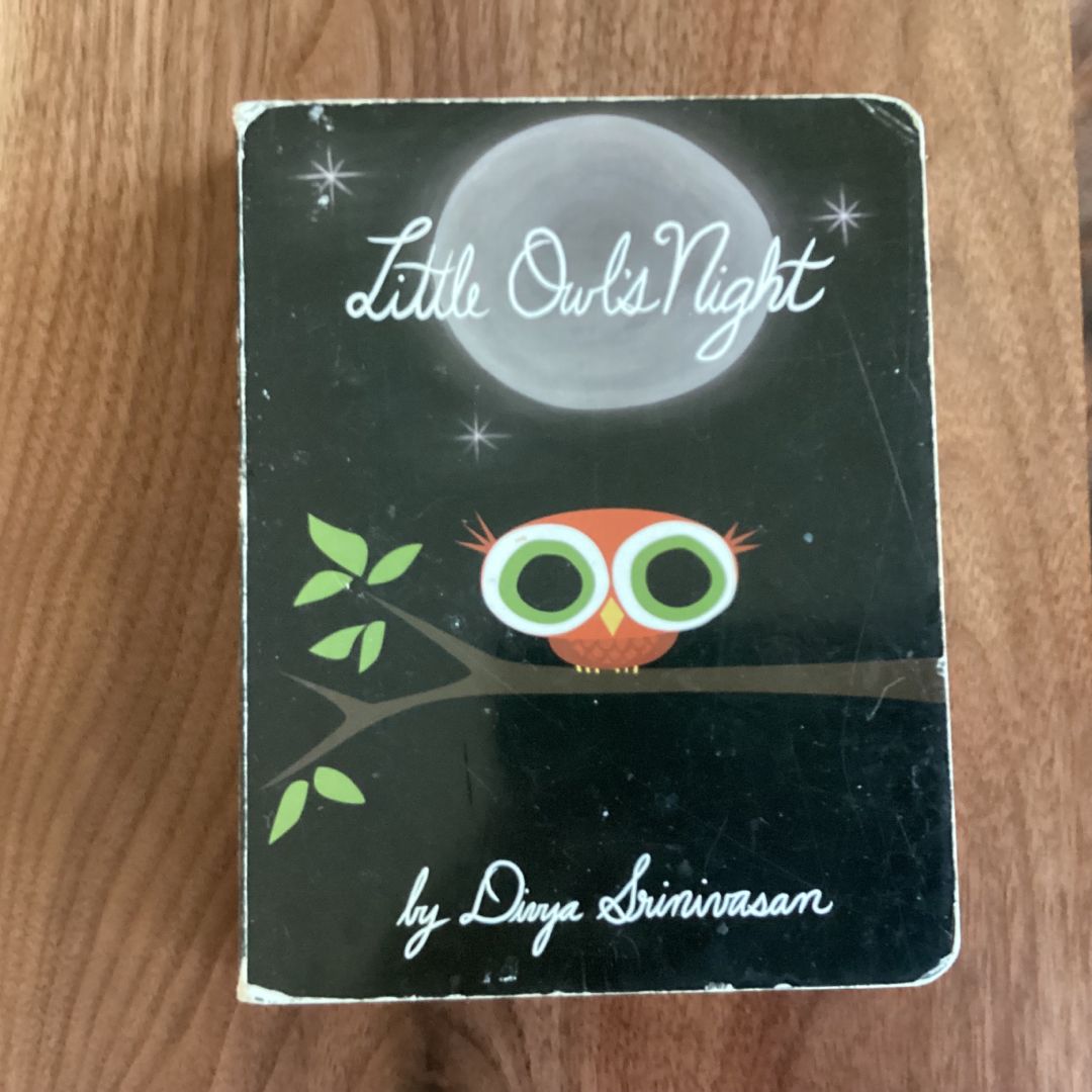 Little Owl's Night by Divya Srinivasan