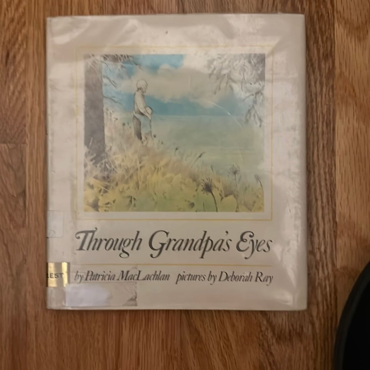 Through Grandpa's Eyes by Patricia MacLachlan