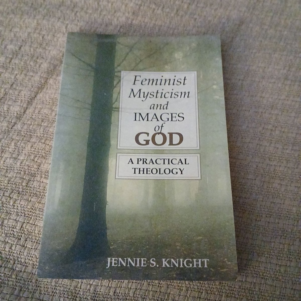 Feminist Mysticism and Images of God by Jennie S. Knight