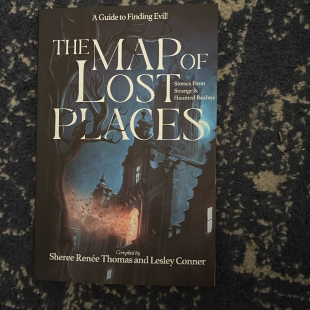 The Map of Lost Places by Lesley Conner