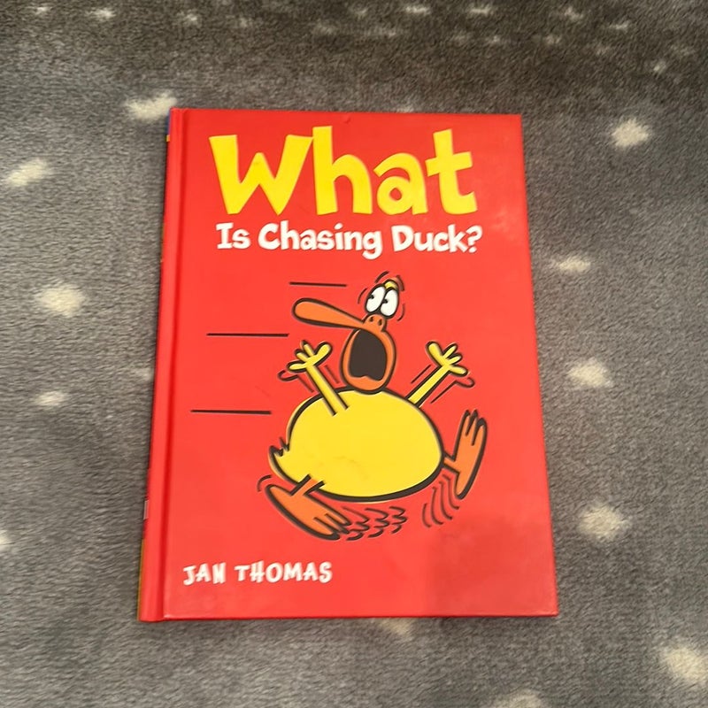 What Is Chasing Duck? by Jan Thomas