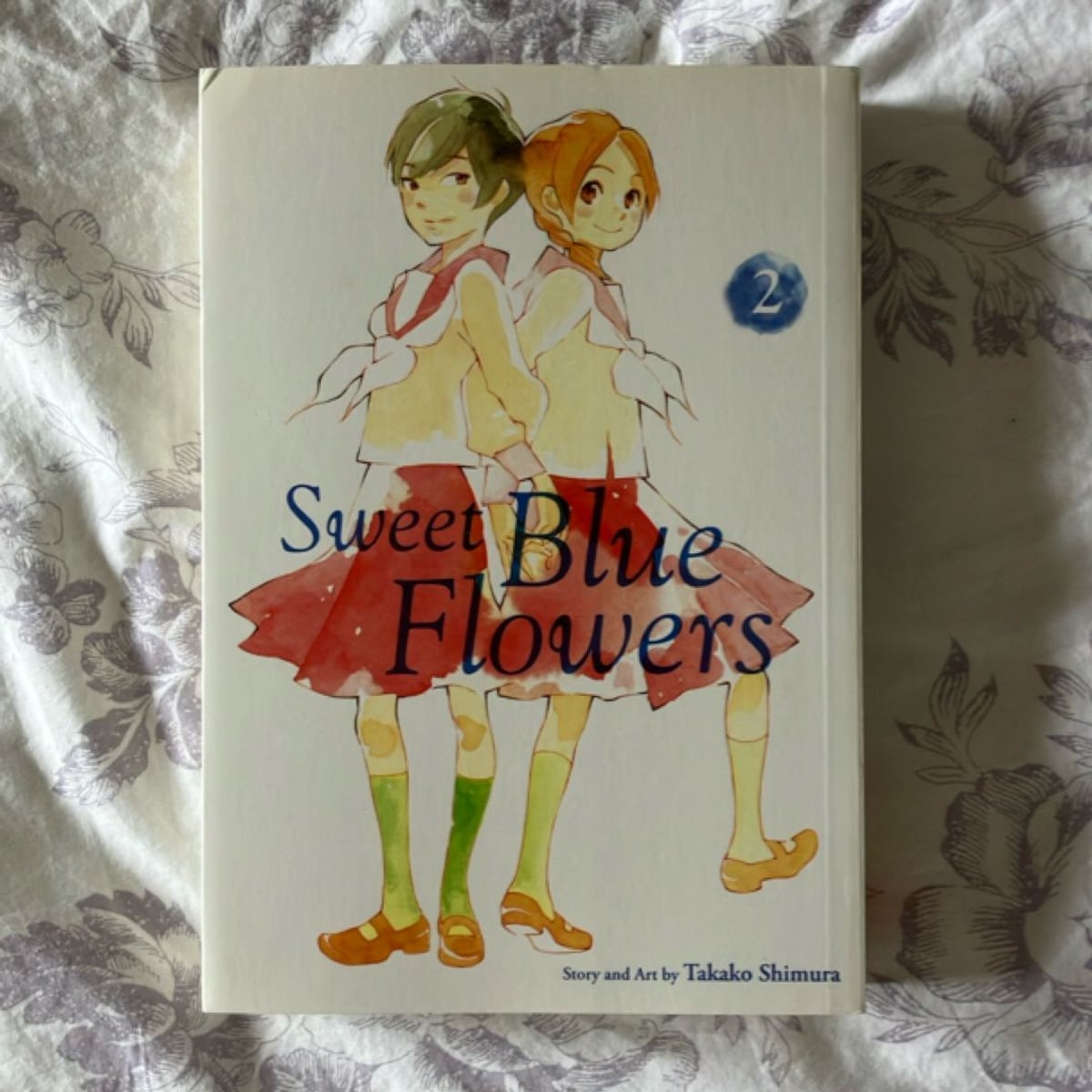 Sweet Blue Flowers, Vol. 2 by Takako Shimura