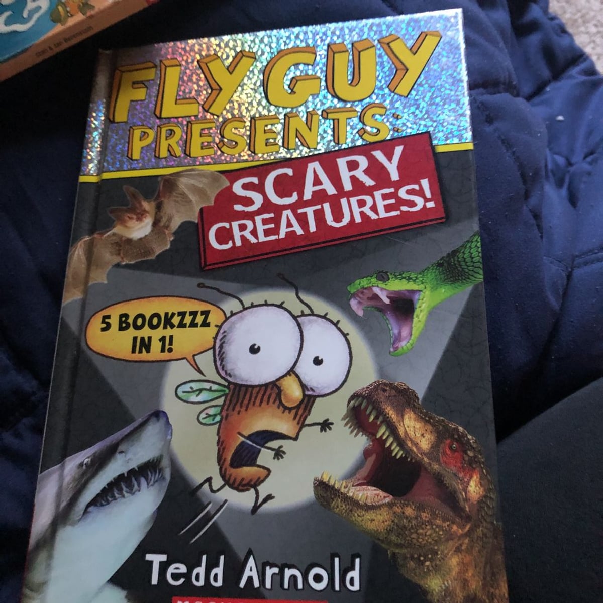 Fly Guy by Ted Arnold, Hardcover | Pangobooks