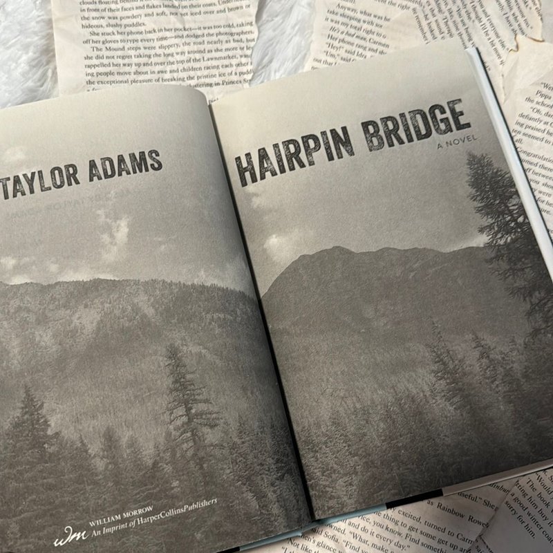 Hairpin Bridge by Taylor Adams, Hardcover | Pangobooks