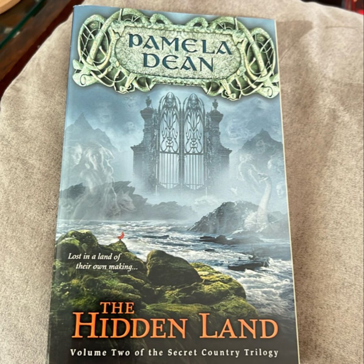 The Hidden Land by Pamela Dean