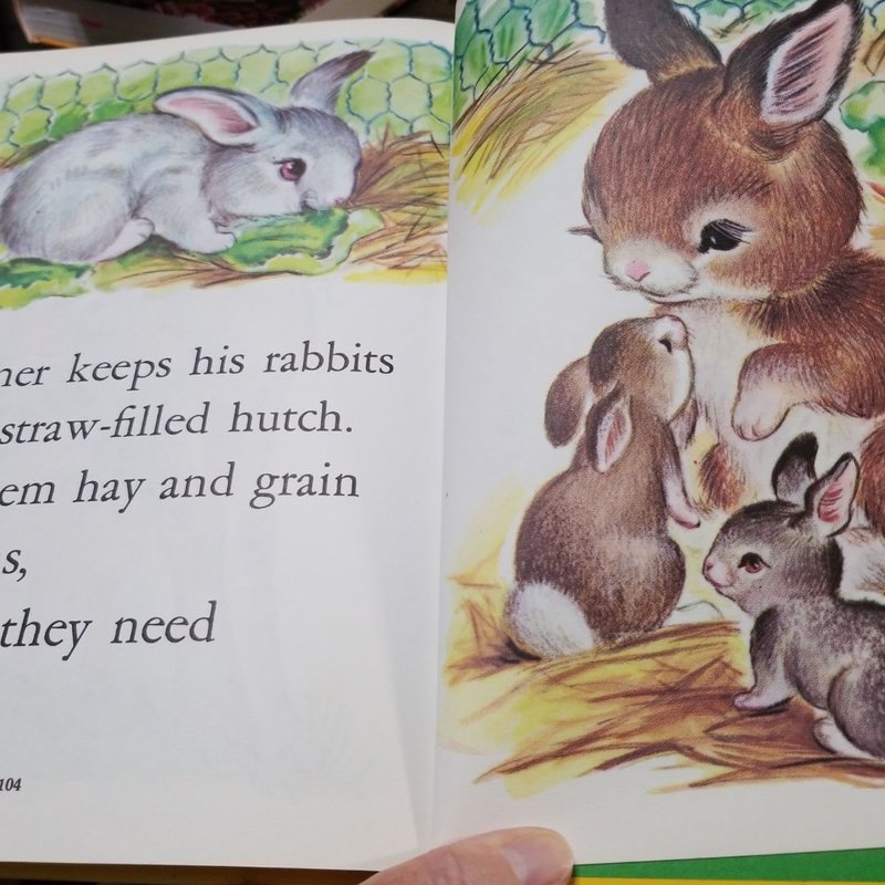The Rand McNally Book of Favorite Farm Animals by , Hardcover | Pangobooks