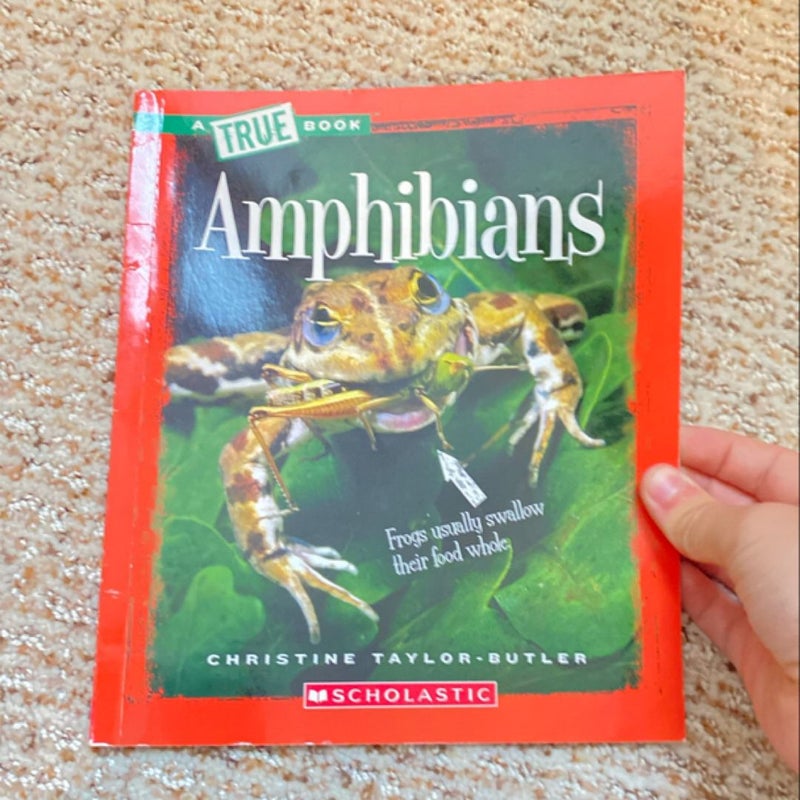 Amphibians (a True Book: Animal Kingdom) by Christine Taylor-Butler