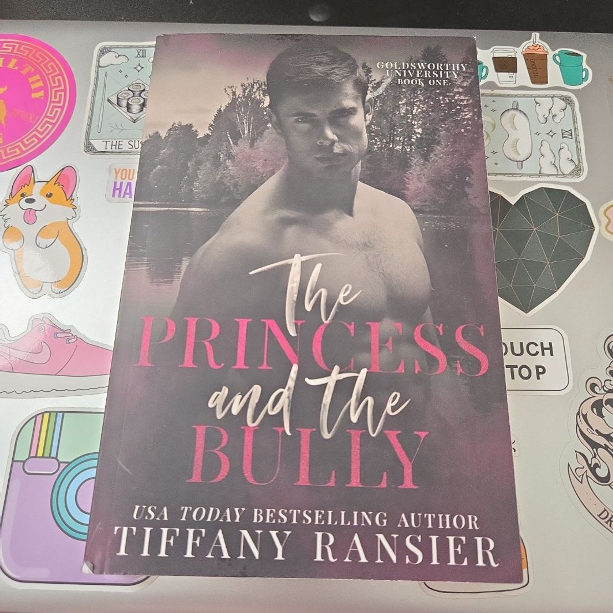 The Princess and the Bully by Tiffany Ransier