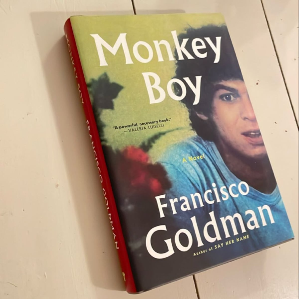 Monkey Boy by Francisco Goldman