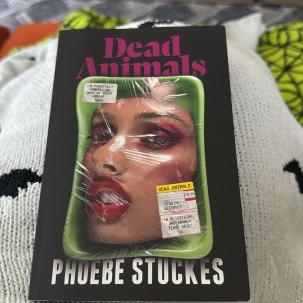 Dead Animals by Phoebe Stuckes
