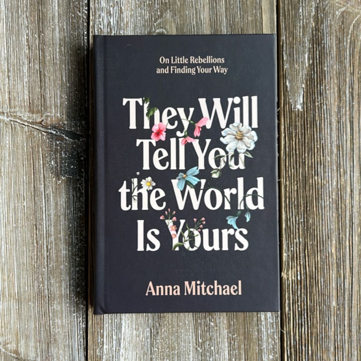 They Will Tell You the World Is Yours by Anna Mitchael, Hardcover ...