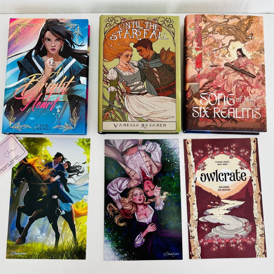 FAECRATE OWLCRATE BUNDLE Song of the Six Realms A Bright Heart Until ...