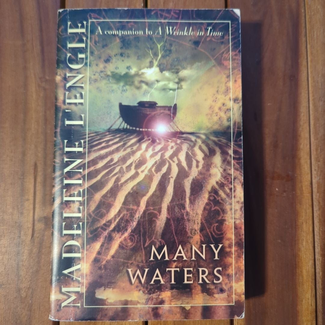 Many Waters by Madeleine L'Engle, Paperback | Pangobooks