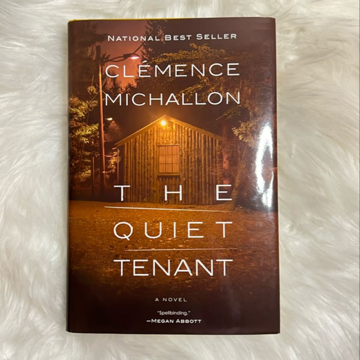 The Quiet Tenant by Clémence Michallon, Hardcover | Pangobooks