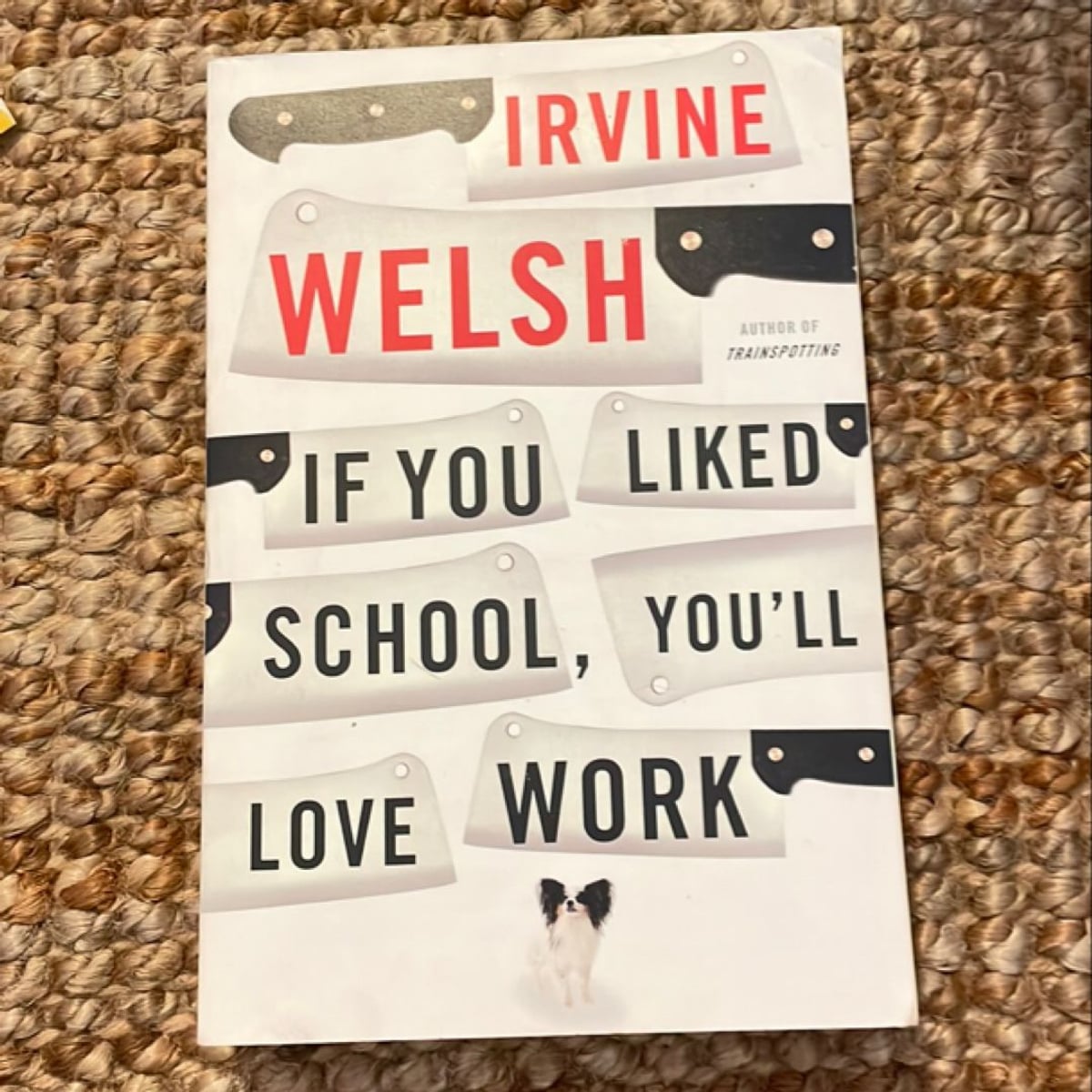 If You Liked School, You'll Love Work by Irvine Welsh