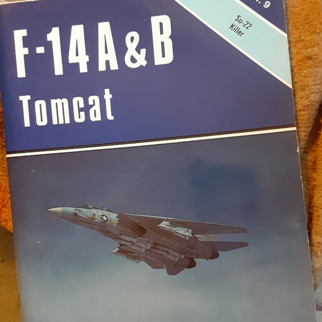 F-14A Tomcat by Bert Kinzey