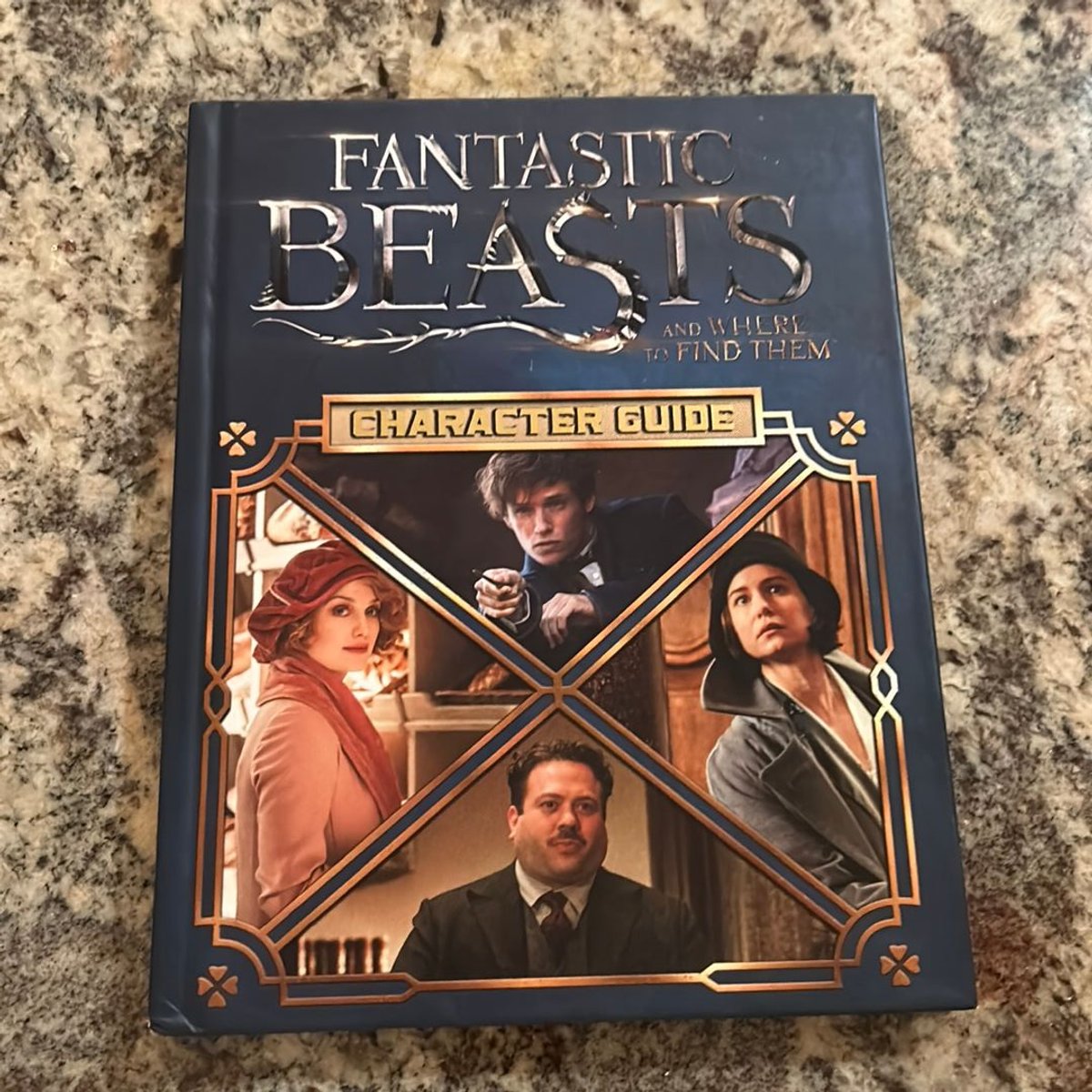 Fantastic Beasts and Where to Find Them - Movie Handbook by Michael ...