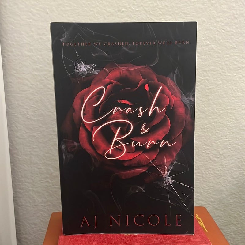 Crash & Burn by A. J. Nicole, Paperback | Pangobooks