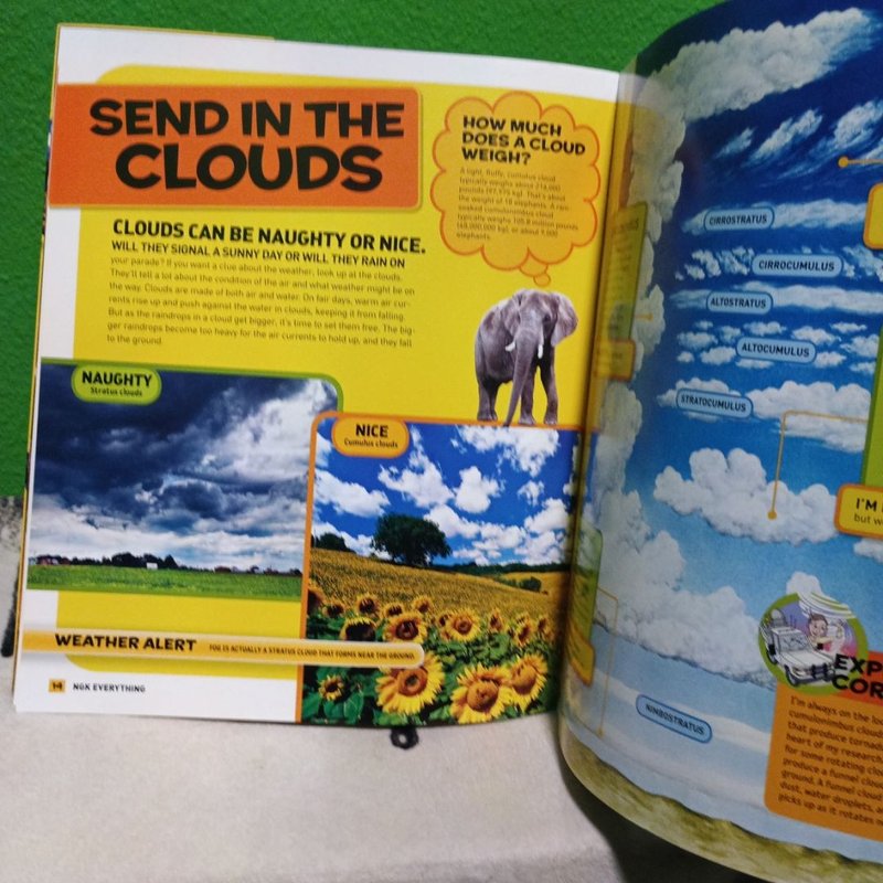 National Geographic Kids Everything Weather by Kathy Furgang