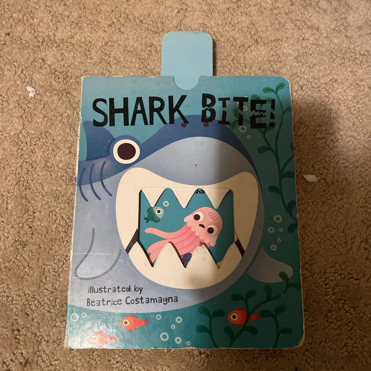 Shark Bite!