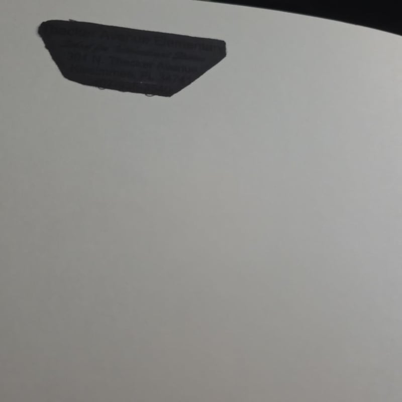 Knuffle Bunny: a Cautionary Tale by Mo Willems (Illustrator)