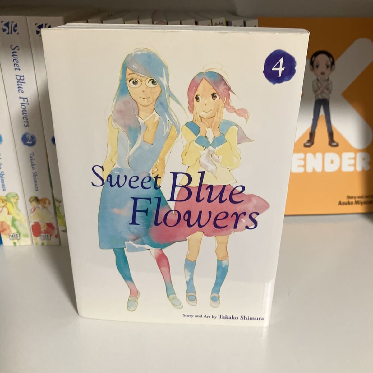 Sweet Blue Flowers, Vol. 4 by Takako Shimura