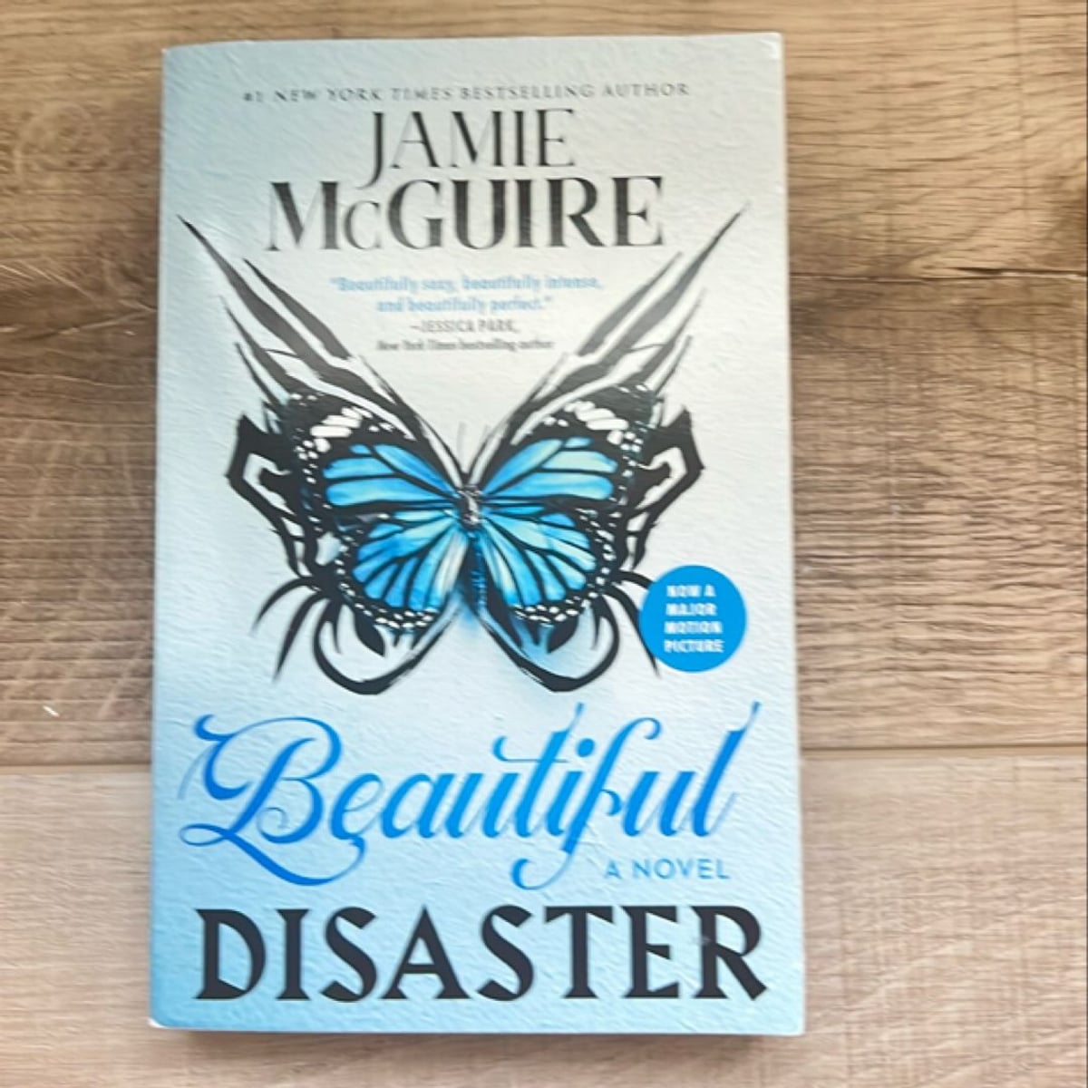 Beautiful Disaster by Jamie McGuire, Paperback | Pangobooks