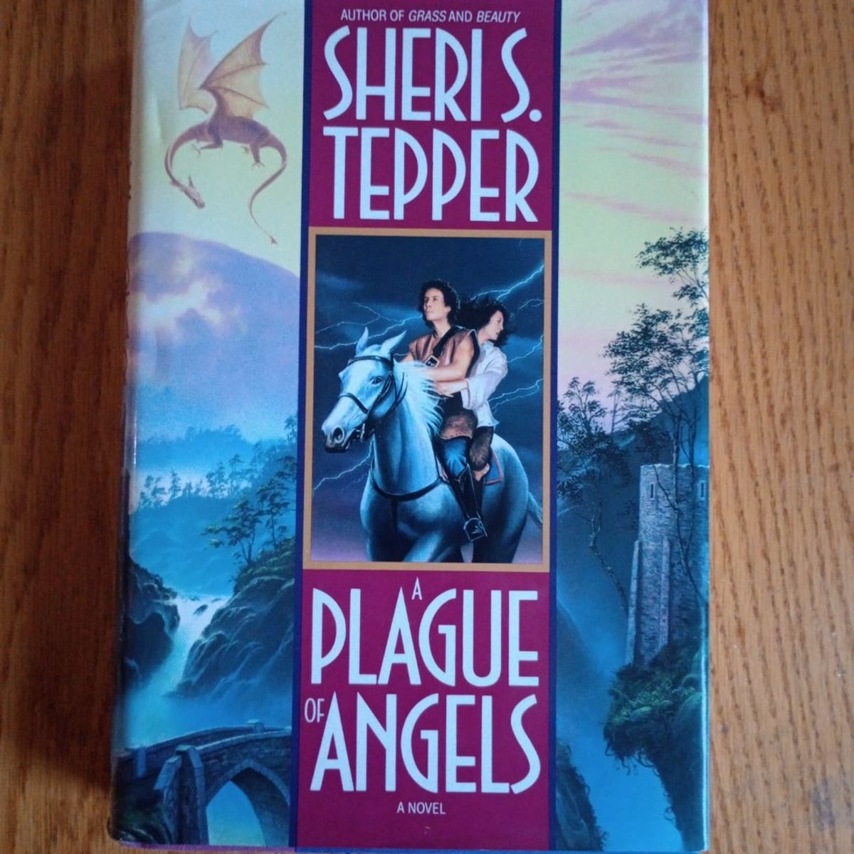 A Plague of Angels by Sheri S. Tepper