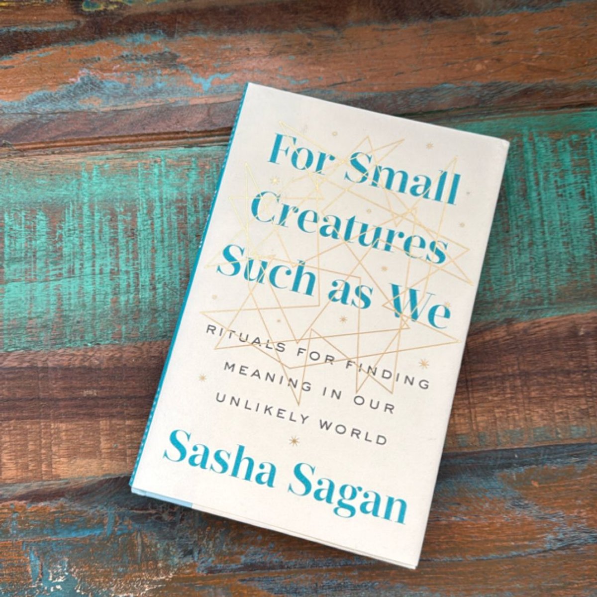 For Small Creatures Such As We by Sasha Sagan