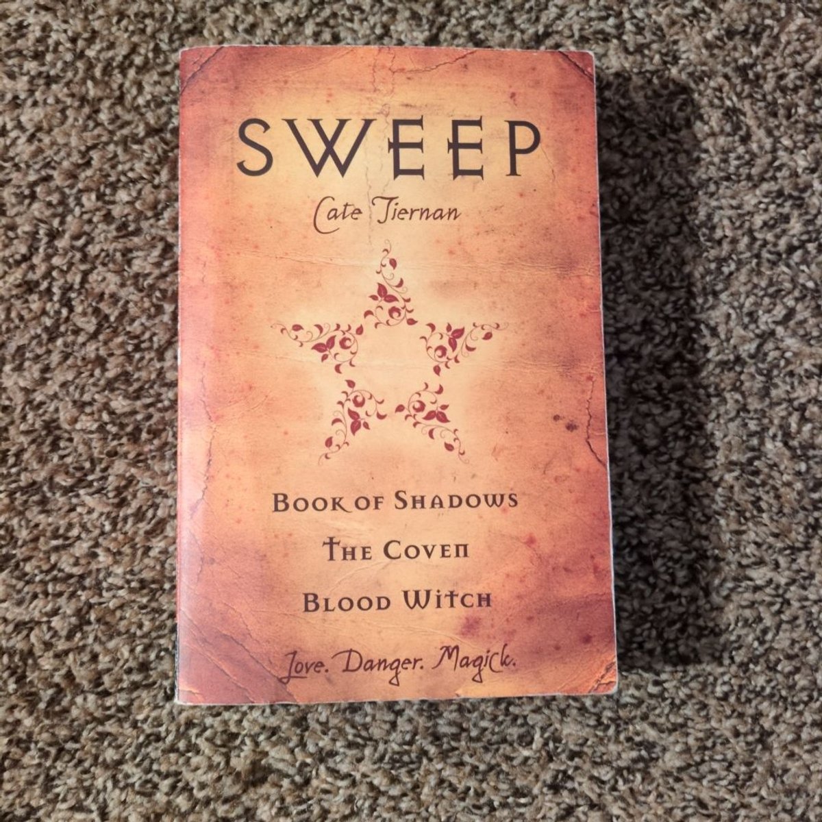 Sweep: Book of Shadows, the Coven, and Blood Witch by Cate Tiernan