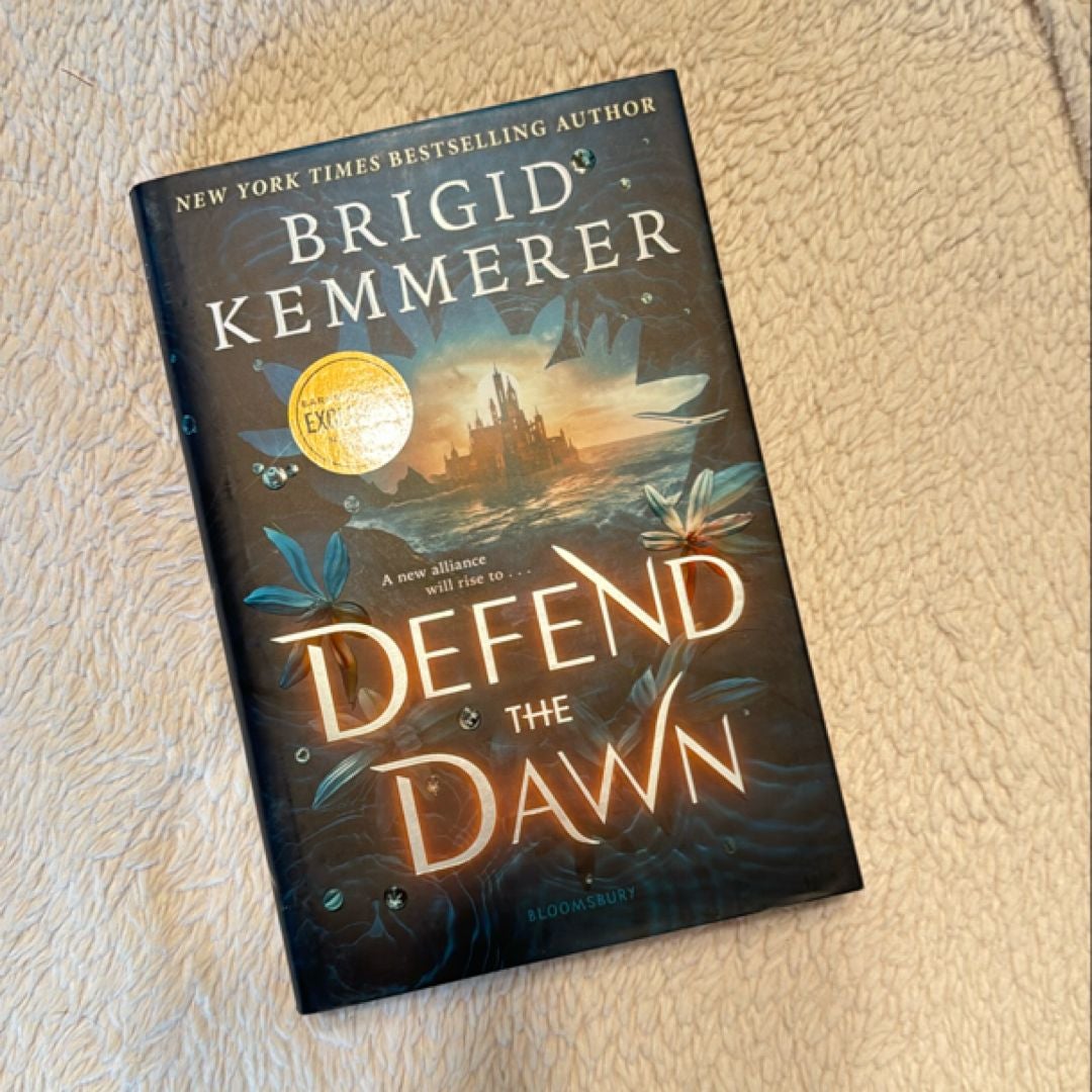 Defend the Dawn by Brigid Kemmerer, Hardcover | Pangobooks