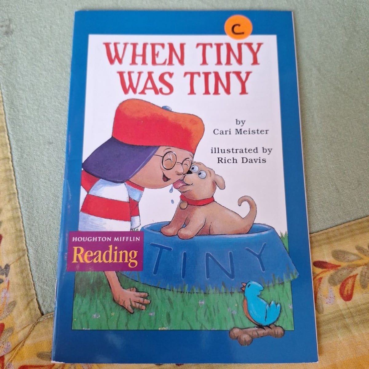 When Tiny was Tiny by Cari Meister