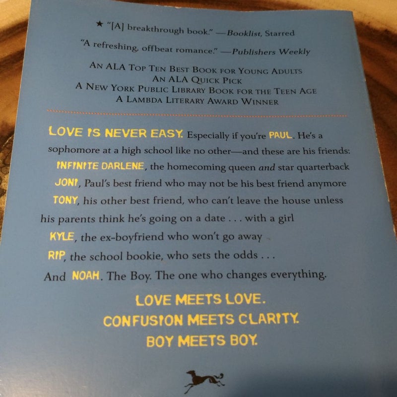 Boy Meets Boy by David Levithan, Paperback | Pangobooks
