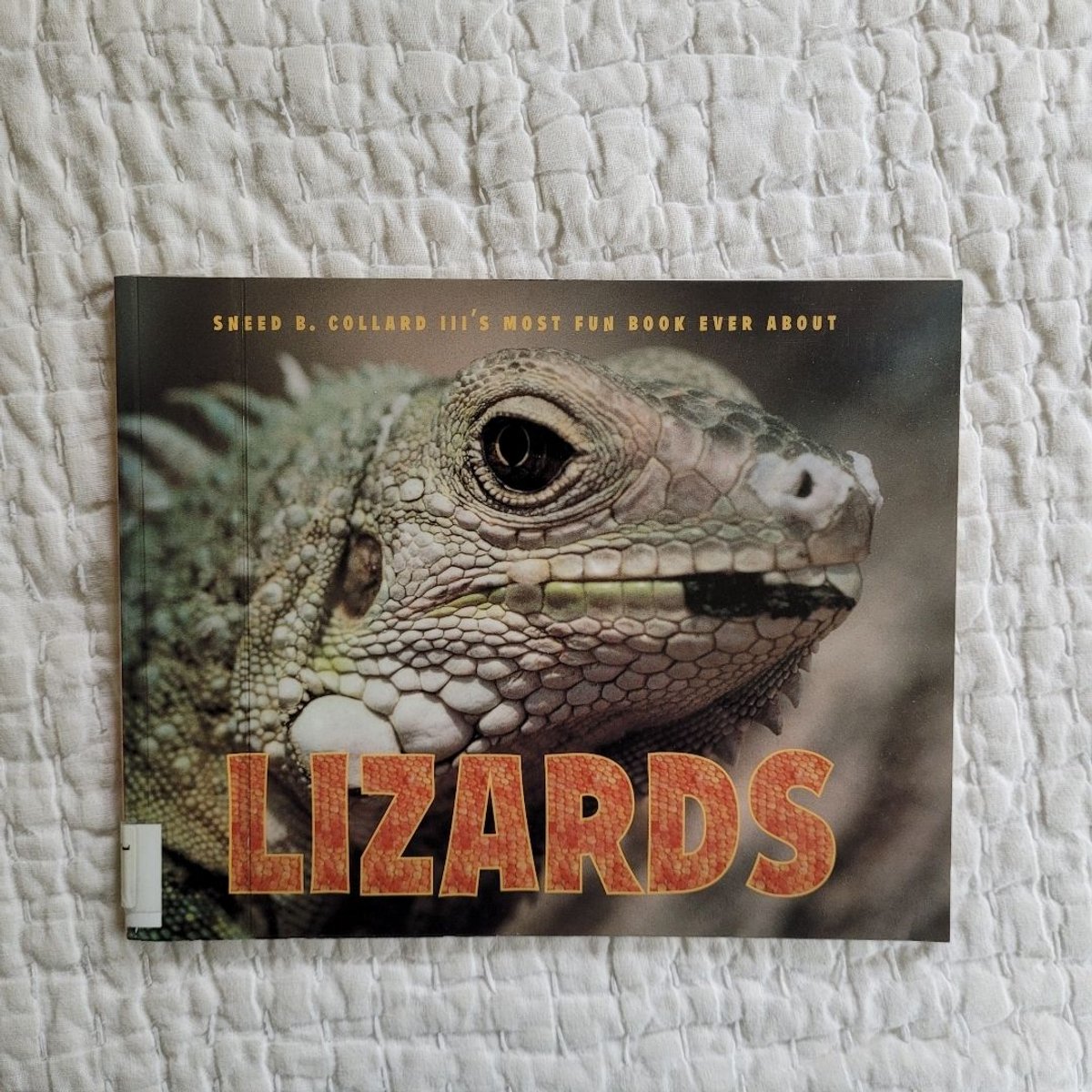 Sneed B. Collard III's Most Fun Book Ever about Lizards by Sneed B. Collard