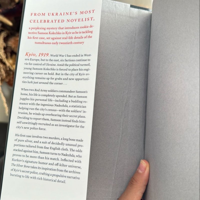 The Silver Bone by Andrey Kurkov, Hardcover | Pangobooks