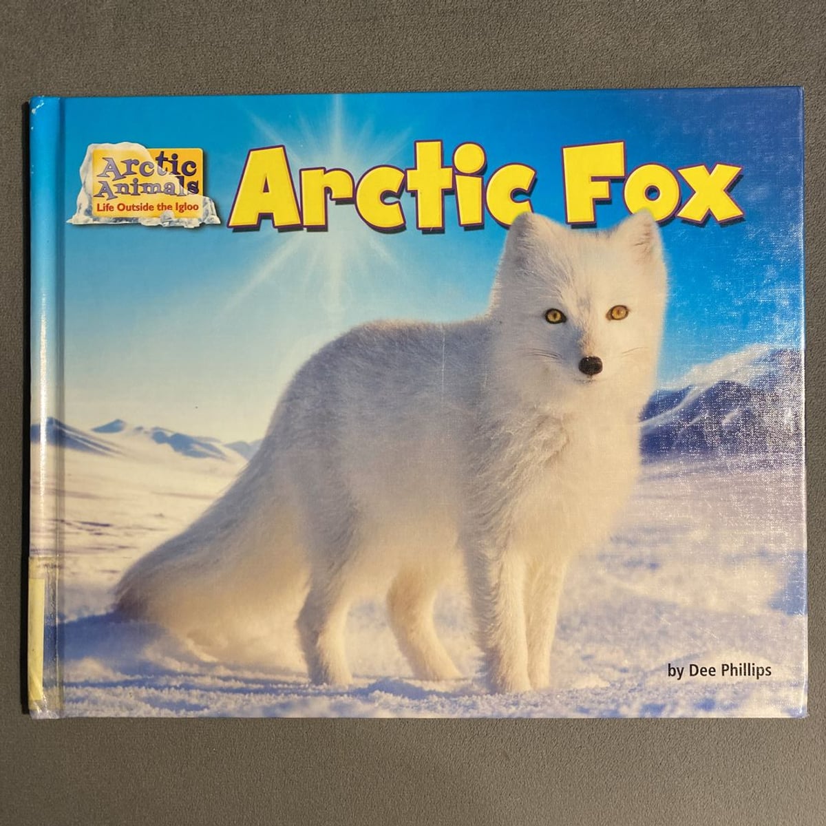 Arctic Fox by Dee Phillips