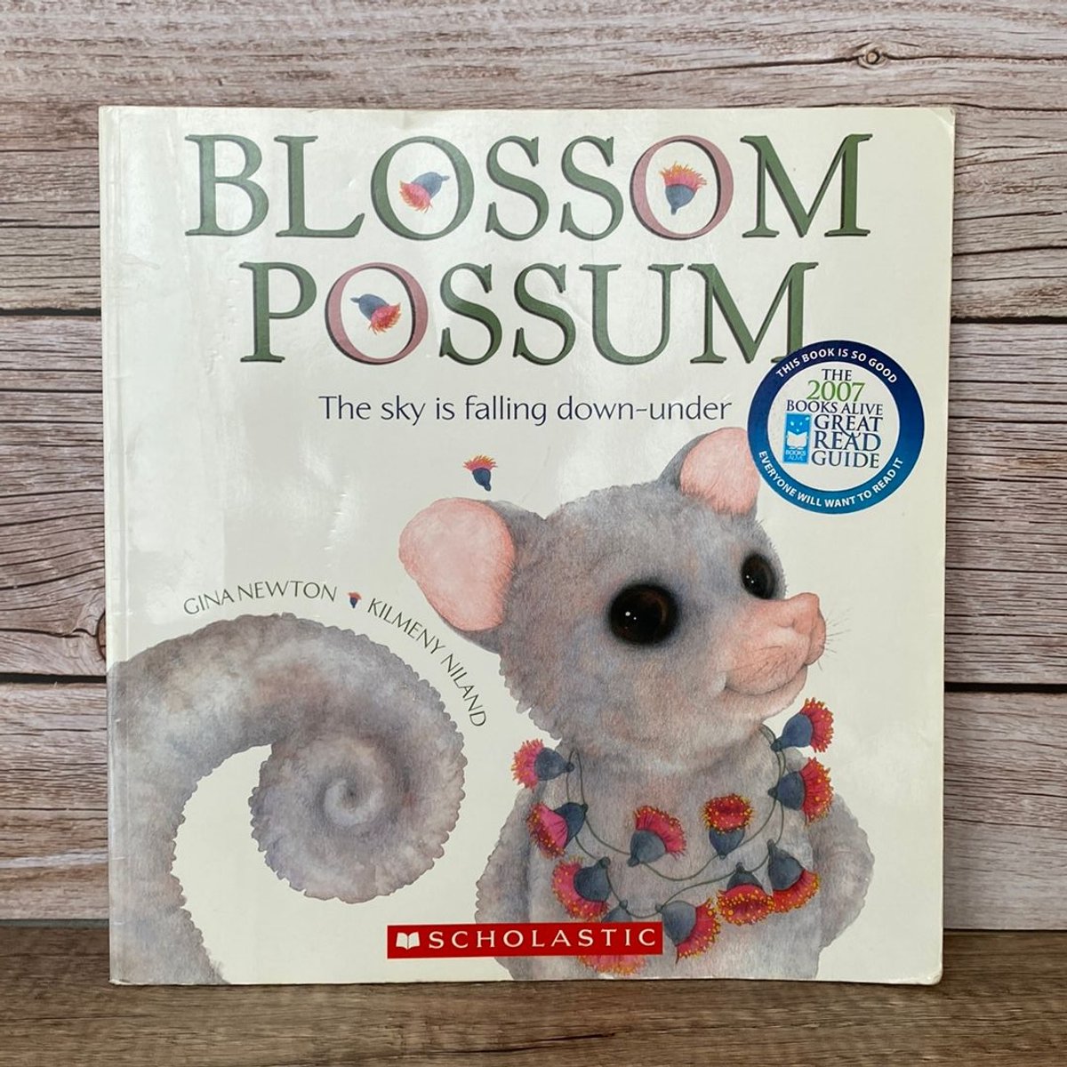 Blossom Possum by Gina Newton