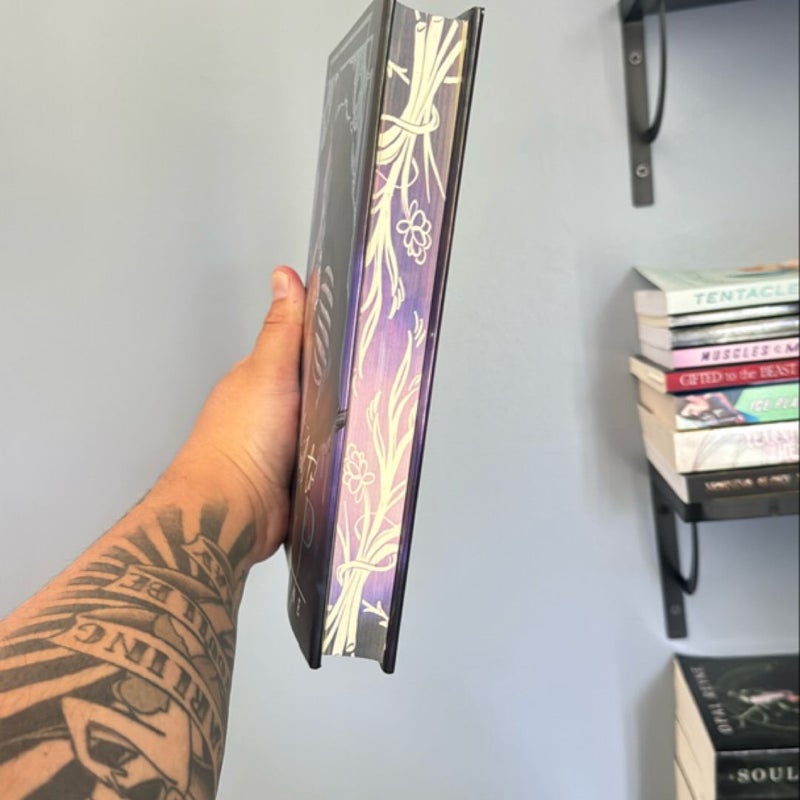 Duskwalker Brides FaeCrate Special Edition 1-4 by , Hardcover | Pangobooks