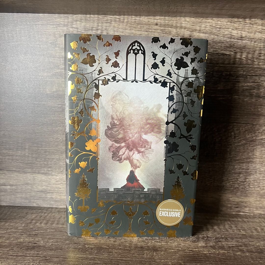 Barnes & Noble One Dark Window Special Edition by Rachel Gillig ...